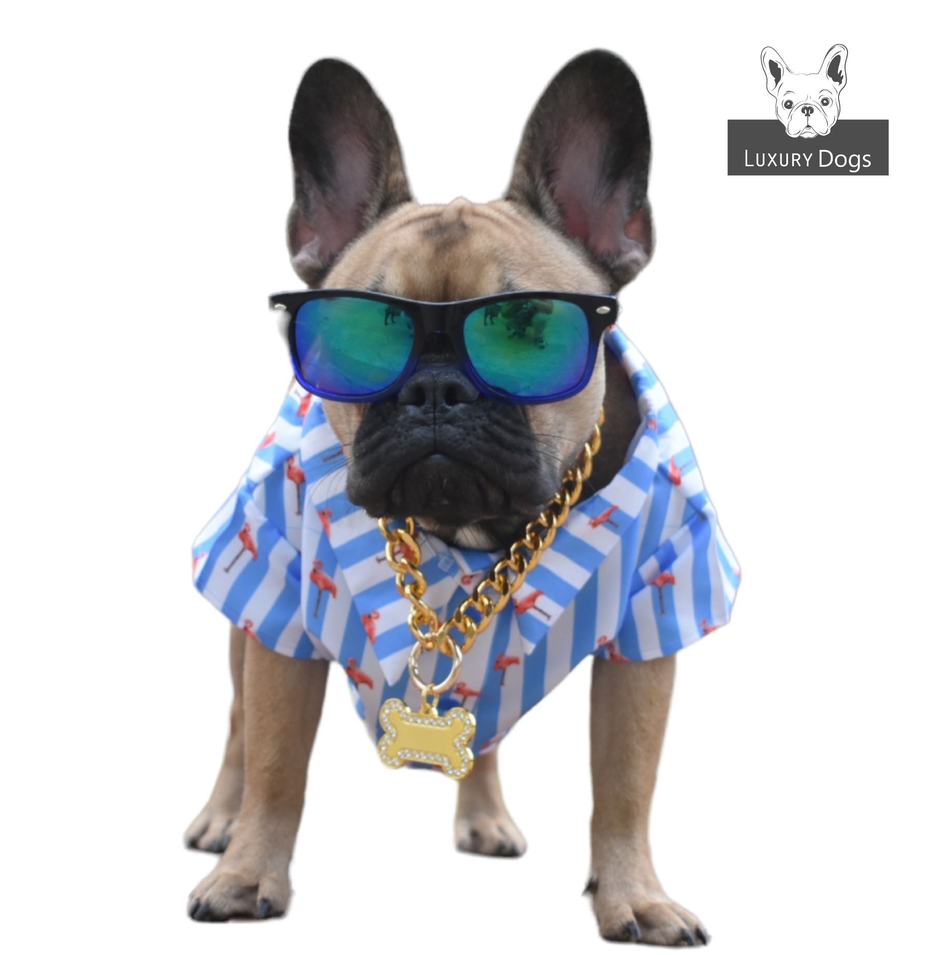 Luxury Dogs | Ropa Y Accesorios | Mascotas