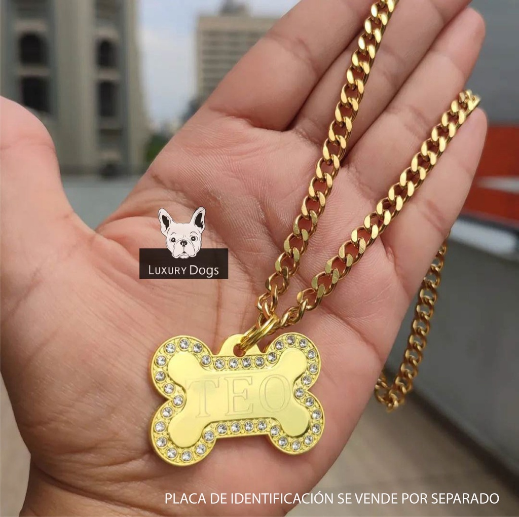 CADENA LUXURY DOGS PARA PERROS CACHORROS O MINIS ACERO | Luxury Dogs