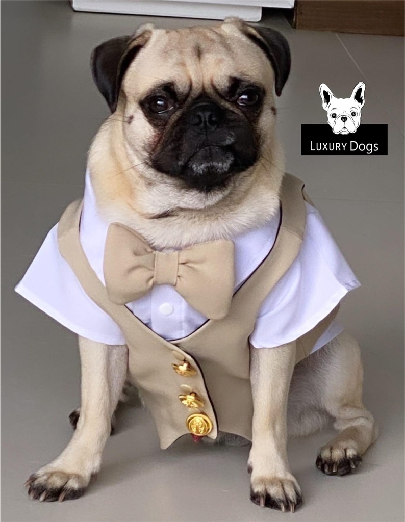 SMOKING LUXURY DOGS PARA PERROS | Luxury Dogs