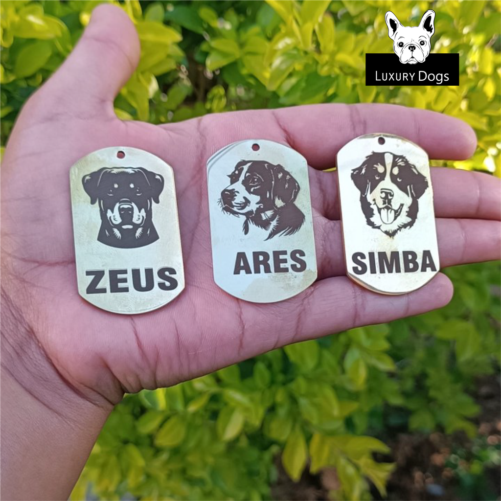 PLACA DE IDENTIFICACIÓN PARA PERROS EN ACERO INOXIDABLE ILUSTRACIÓN ...